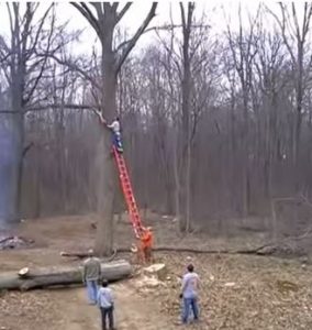 Safety Hazard: At least he made sure everyone ELSE was safe! – Safety ...